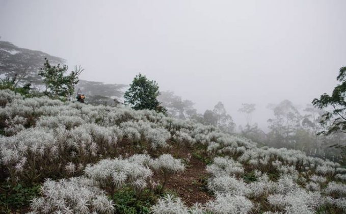 Healing di Padang Bunga Kasna - My Travel Trip