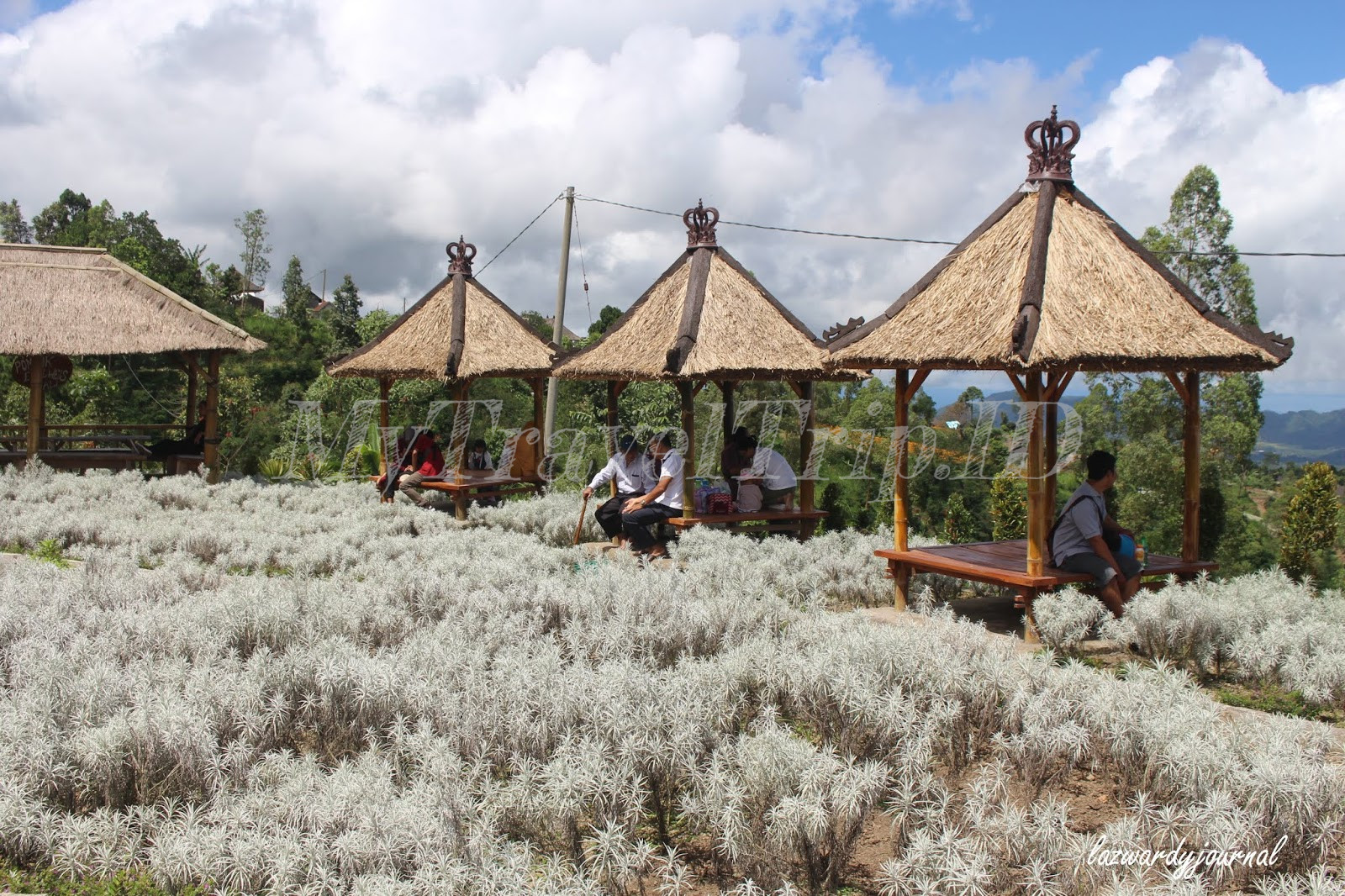 Healing di Padang Bunga Kasna - My Travel Trip